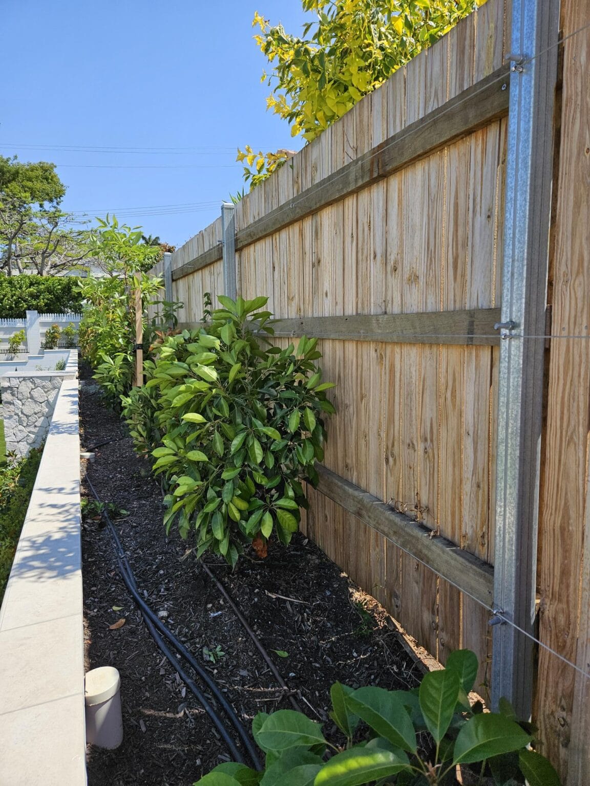 Stainless Wire Trellises - Jasbem Projects