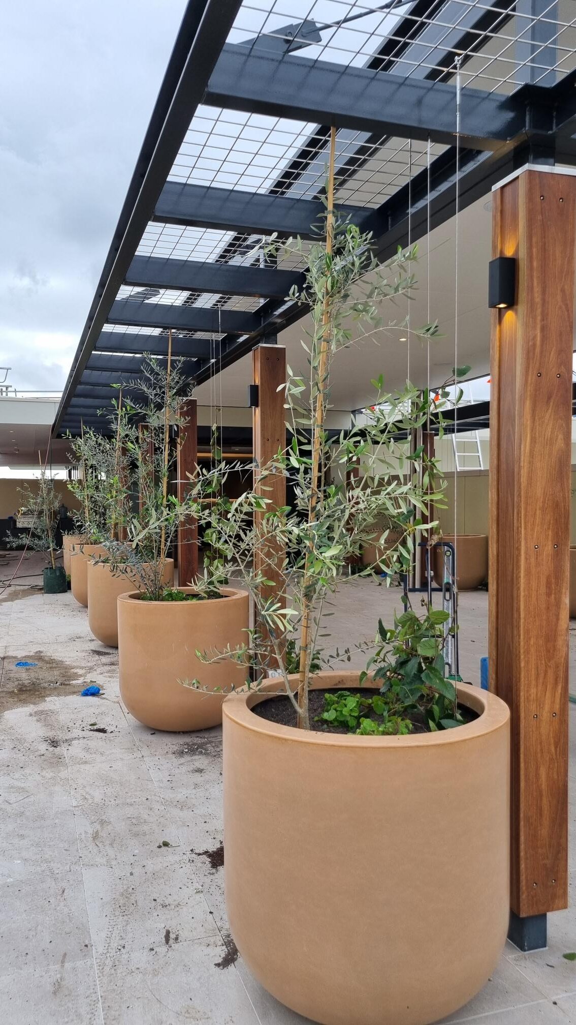 Stainless Wire Trellises - Jasbem Projects