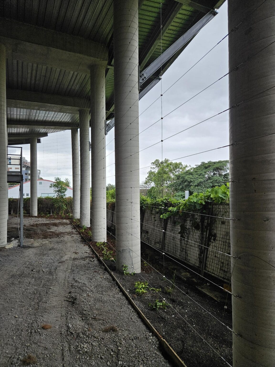 Commercial Construction Premium Trellis Installer