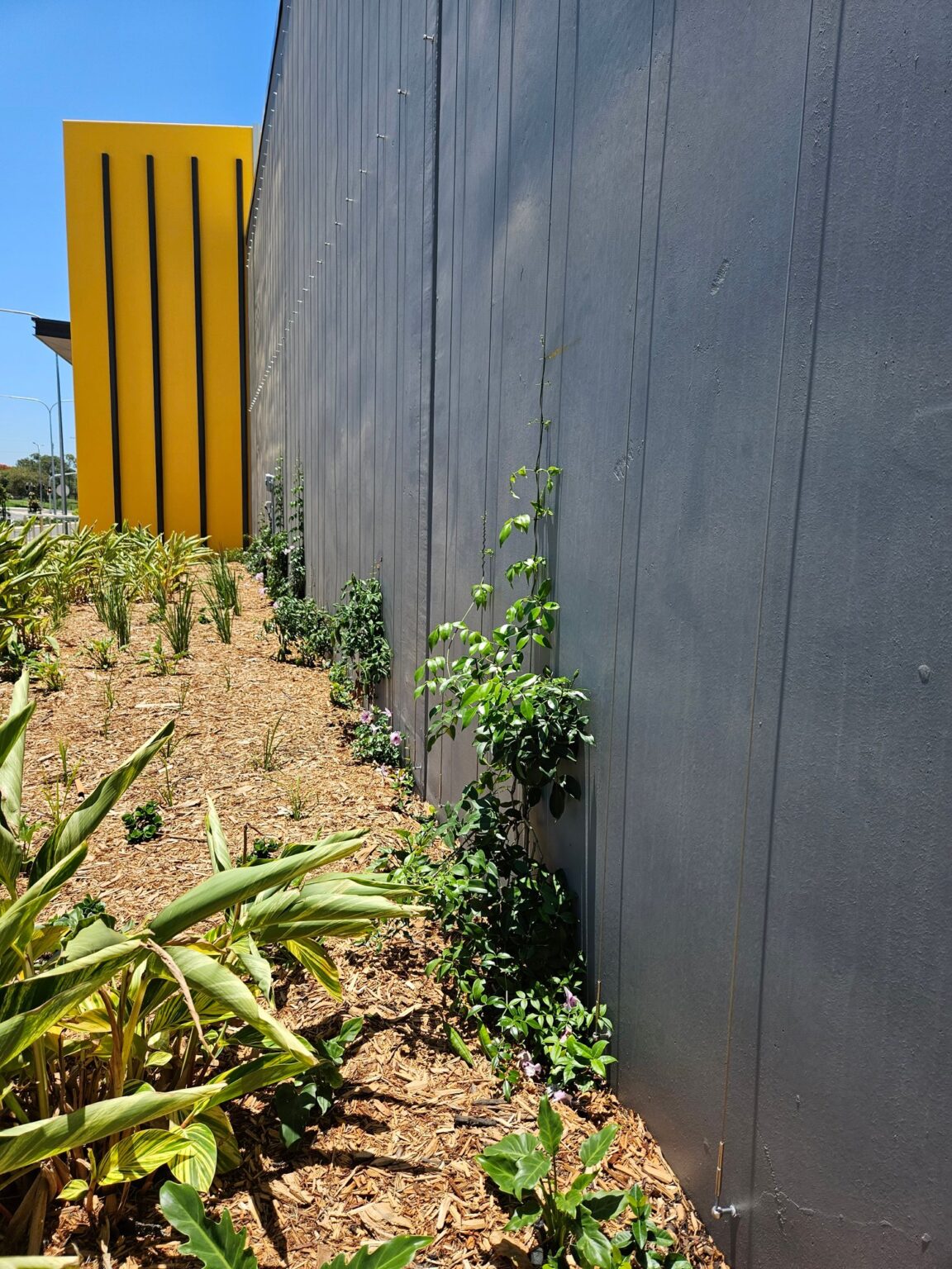 Stainless Wire Trellises - Jasbem Projects
