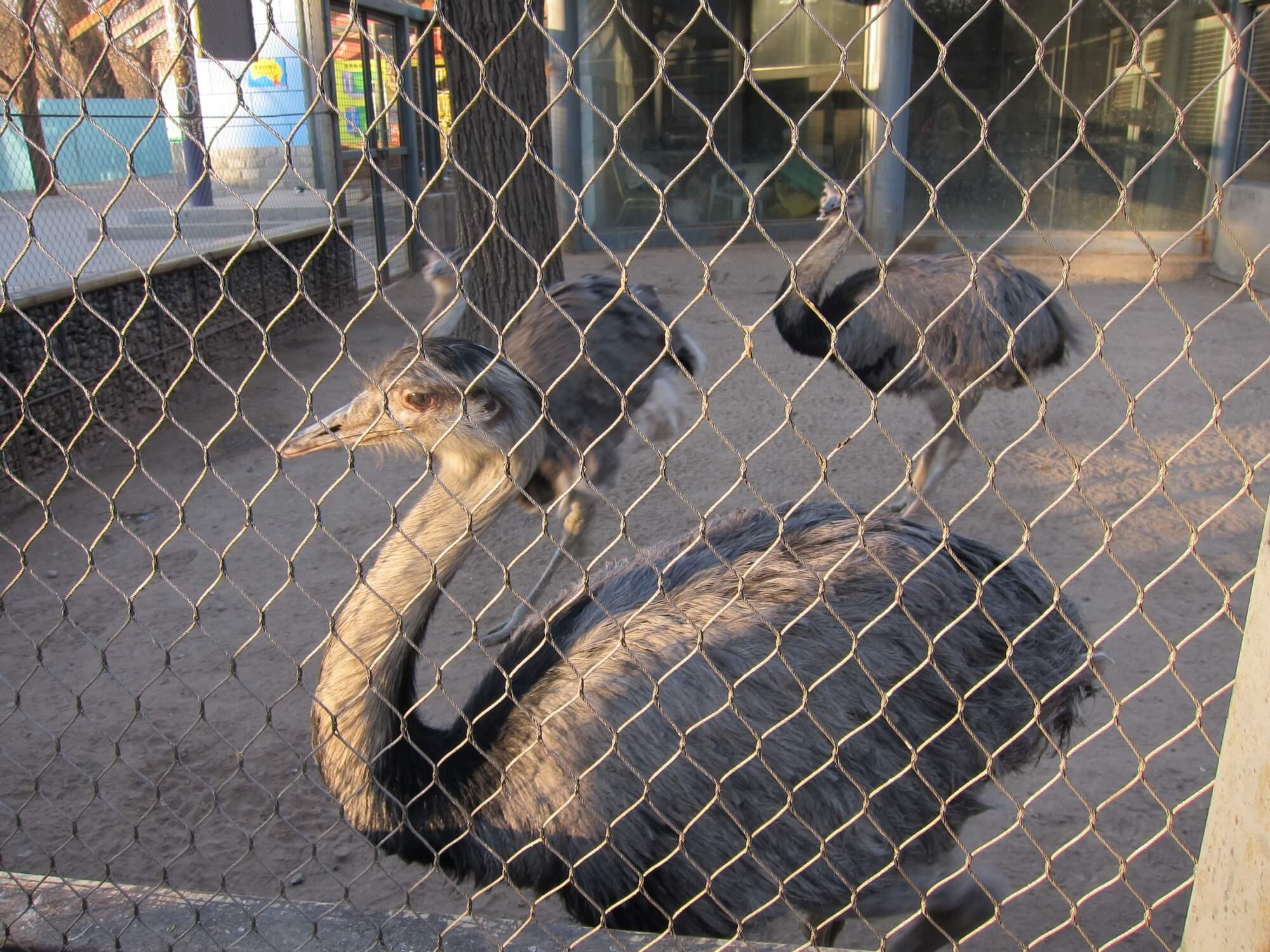 The Benefits of Stainless Wire Rope Mesh for Zoo Enclosures